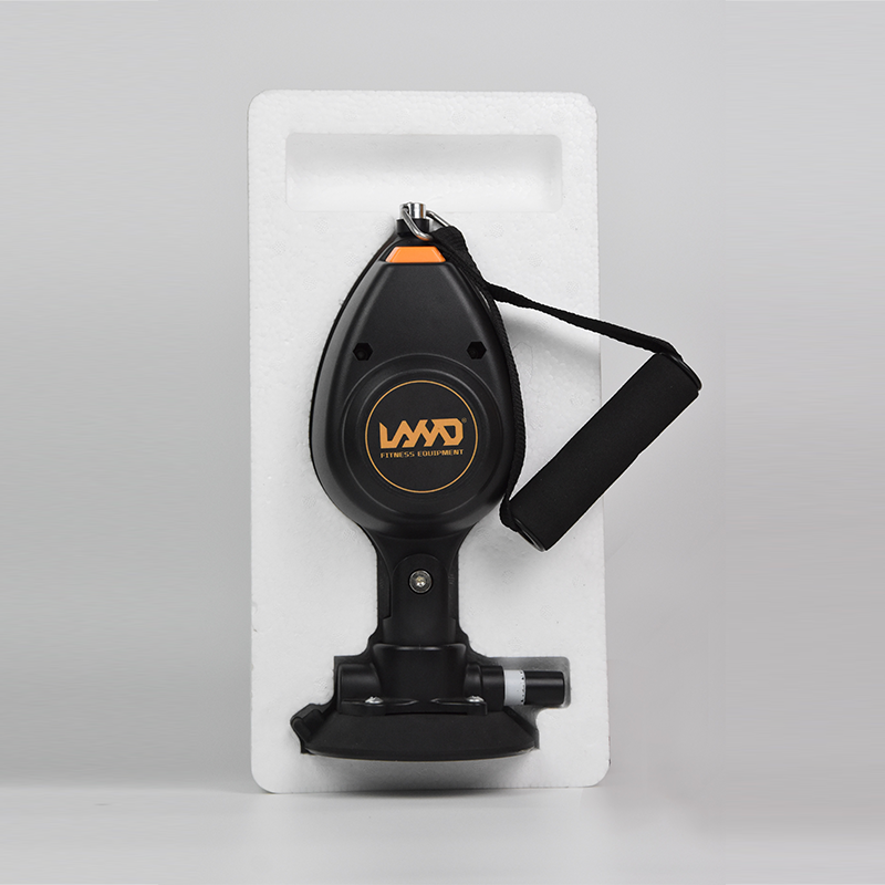 Land Fitness Leaf Pull – Fitness Intelligence Trends, Inc.