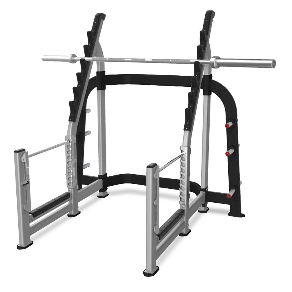 Nautilus Squat Rack – Fitness Intelligence Trends, Inc.
